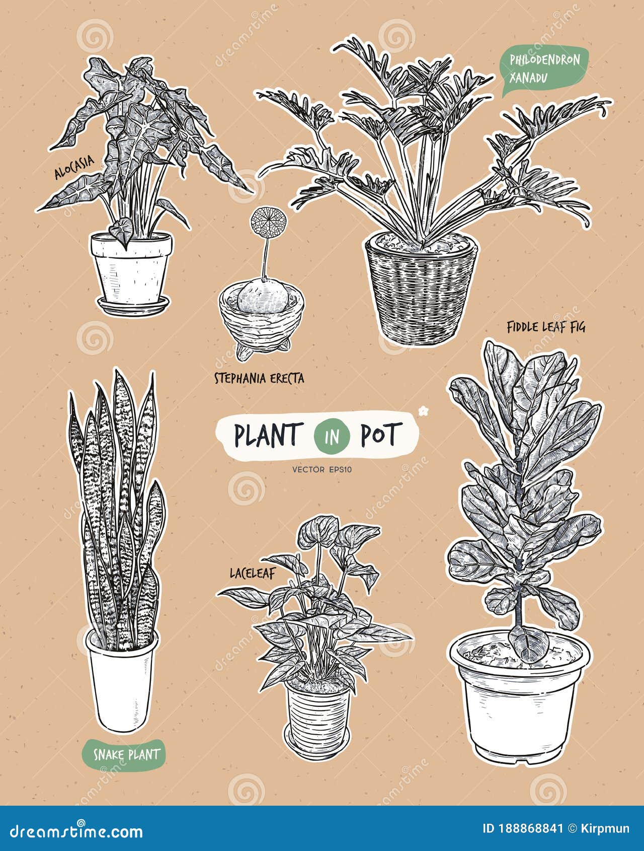 Plant in Pots, Hand Draw Sketch Vector Stock Vector - Illustration of ...