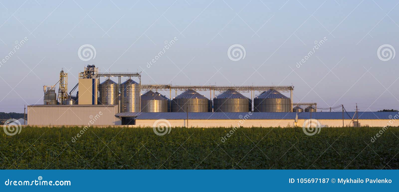Plant for Processing, Drying and Storage of Grain and Seeds of ...