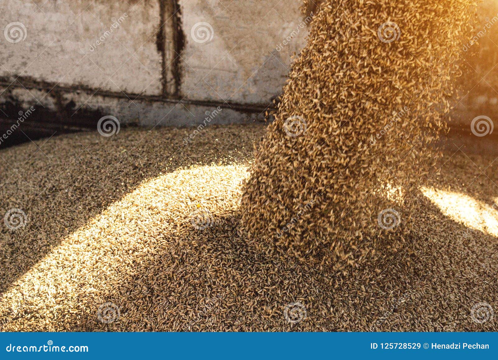 Plant for Processing and Storing Grain, Loading Grain into a Truck Body ...