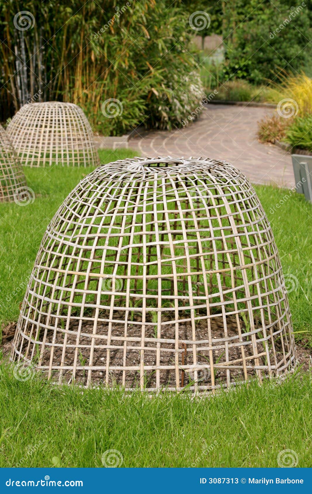 Plant Protection Frame stock image. Image of round, deterrent - 3087313