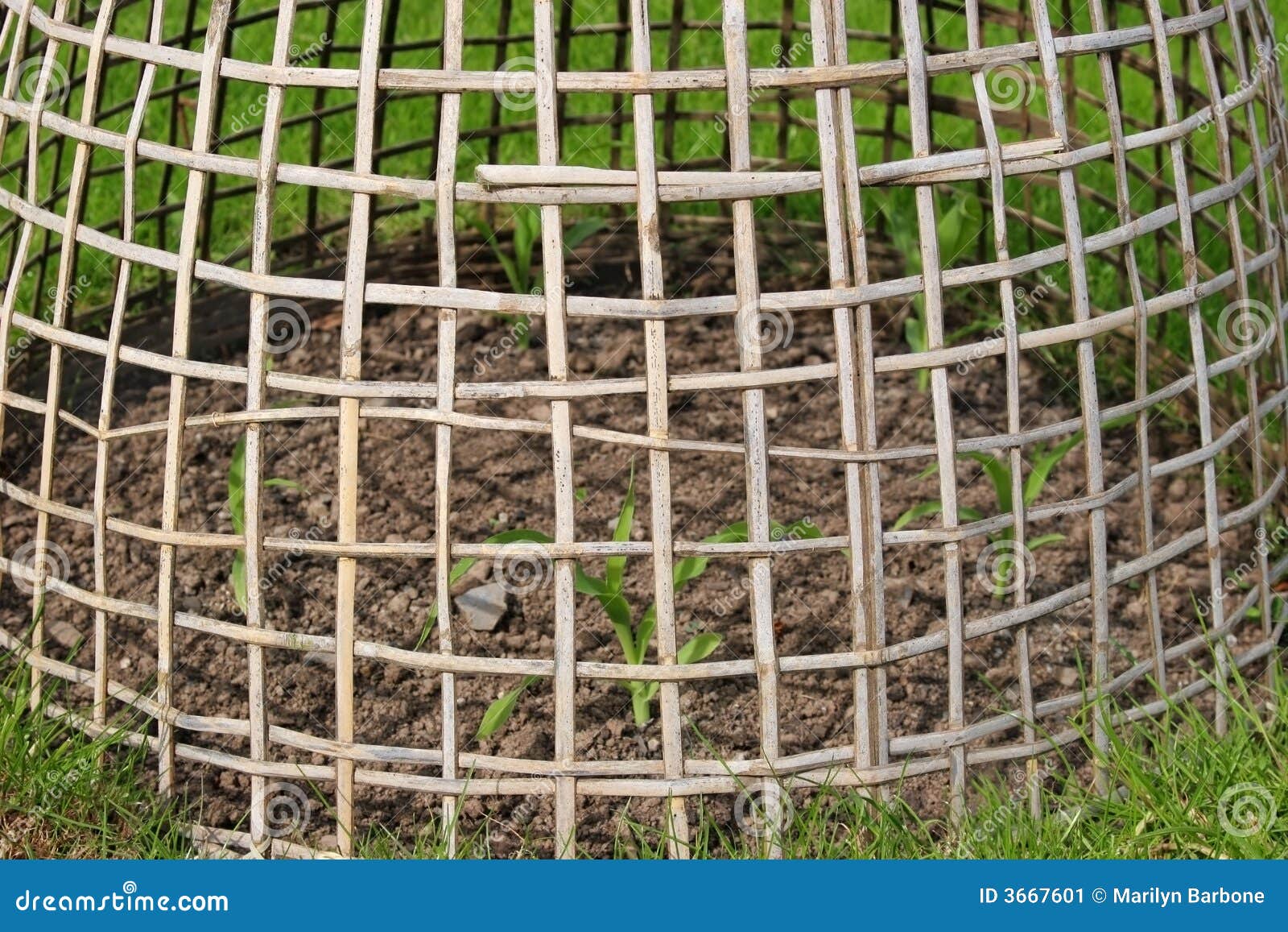 Plant Protection Frame stock image. Image of protection - 3667601