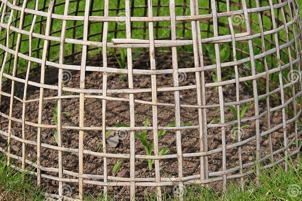 Plant Protection Frame stock image. Image of protection - 3667601