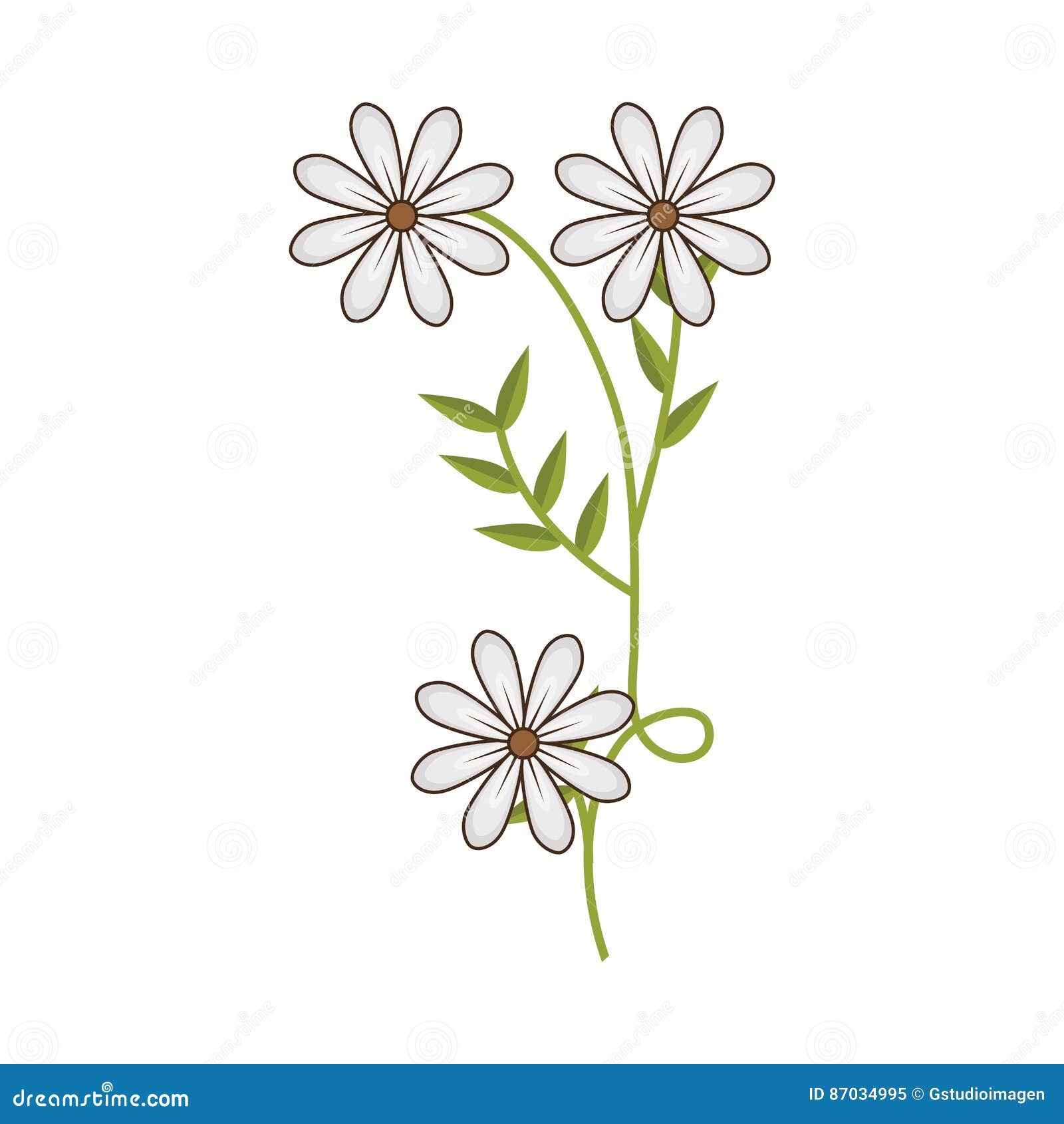 Plant with Ramification and Daisy Flowers Stock Vector - Illustration ...