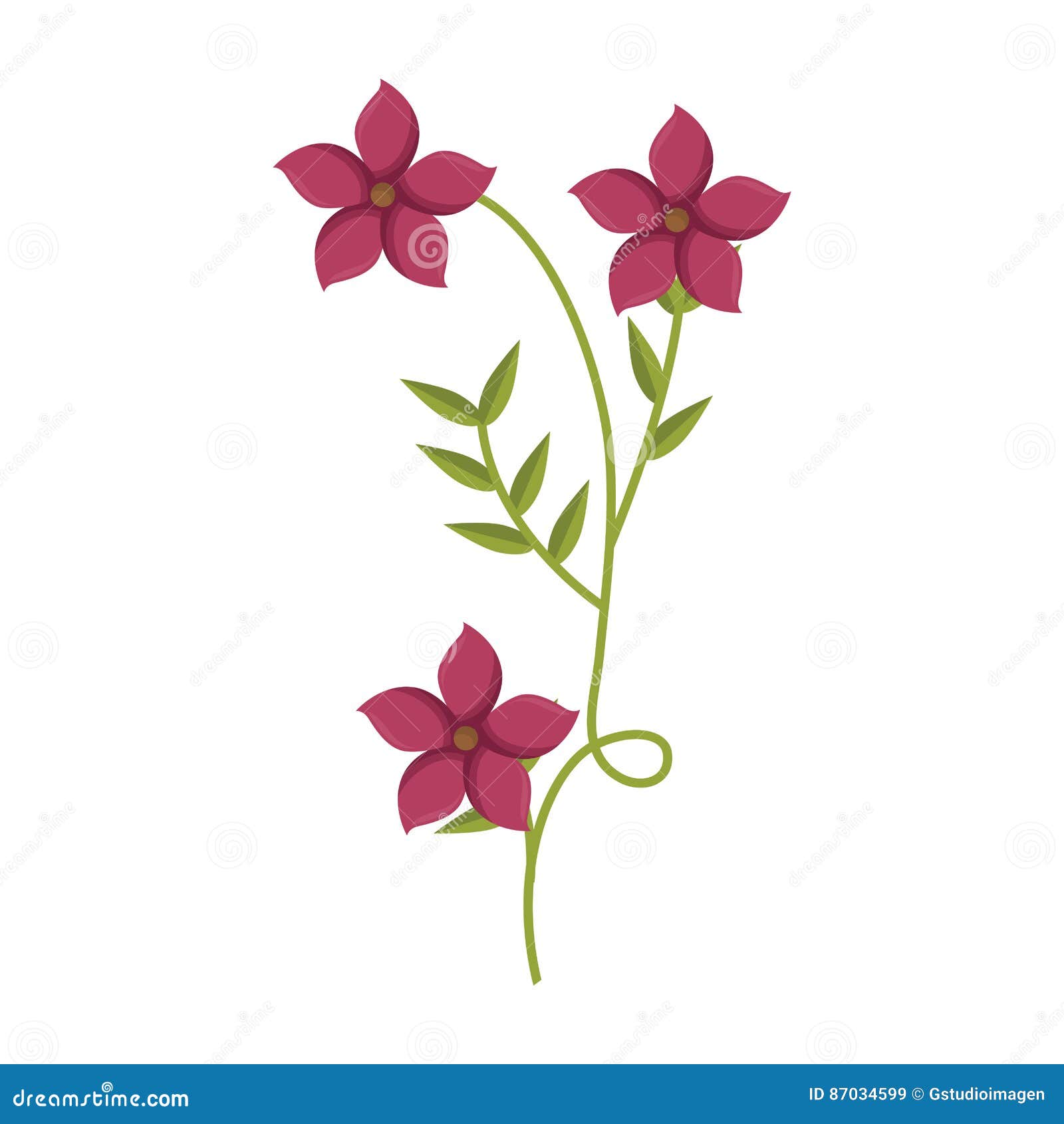 Plant with Ramification and Pink Flowers Stock Vector - Illustration of ...