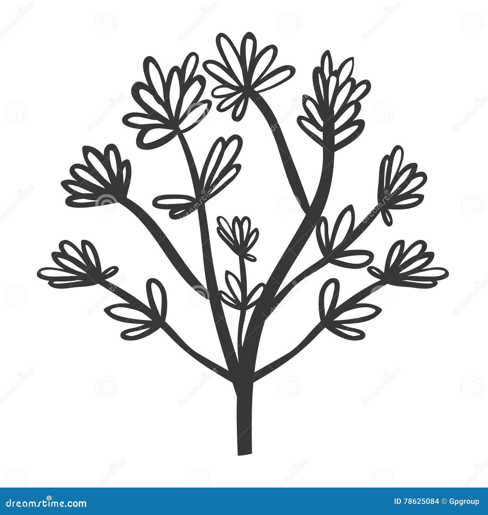 Plant with Ramifications and Flowers Stock Vector - Illustration of ...