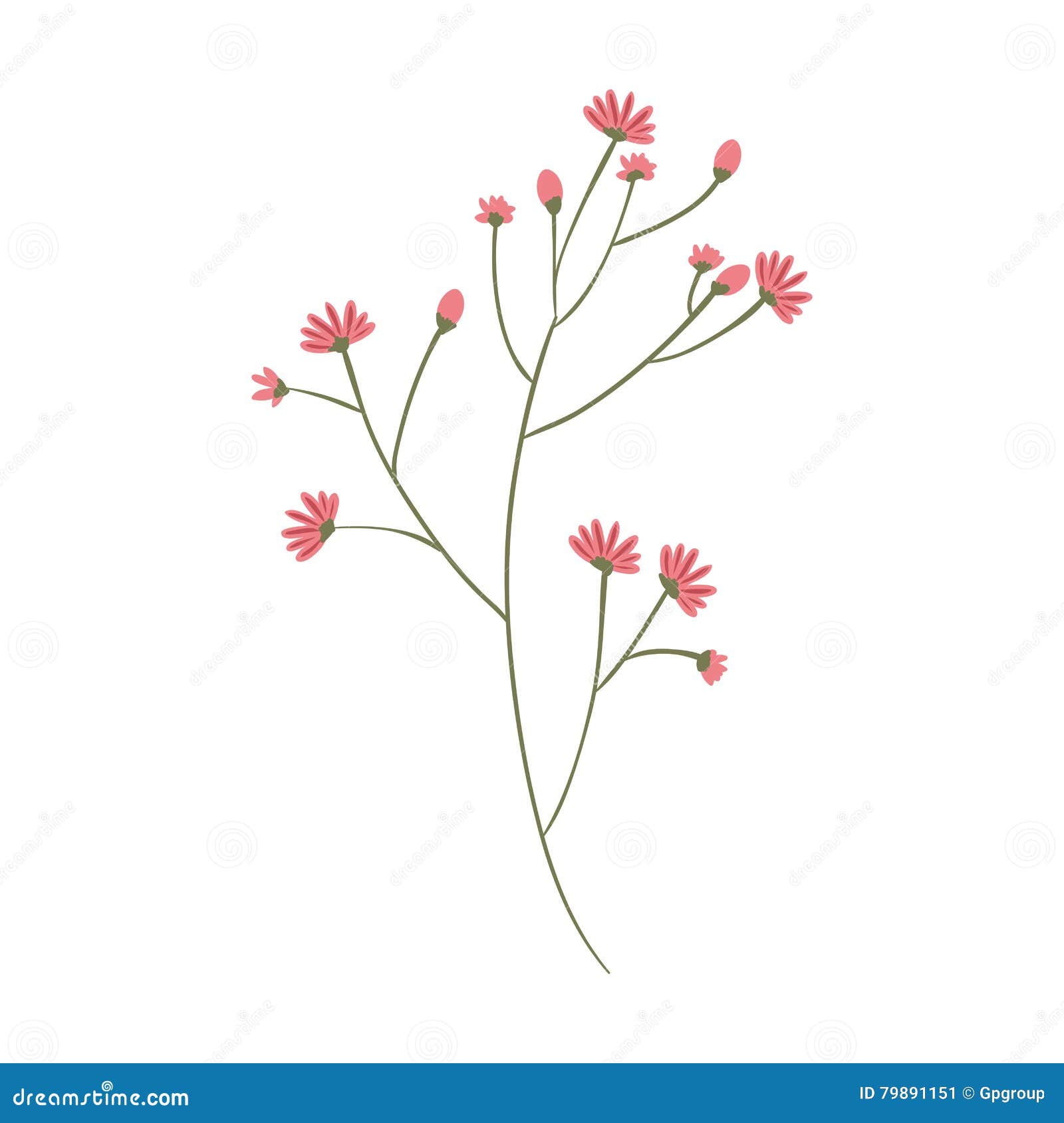 Plant with Ramifications and Flowers Stock Vector - Illustration of ...