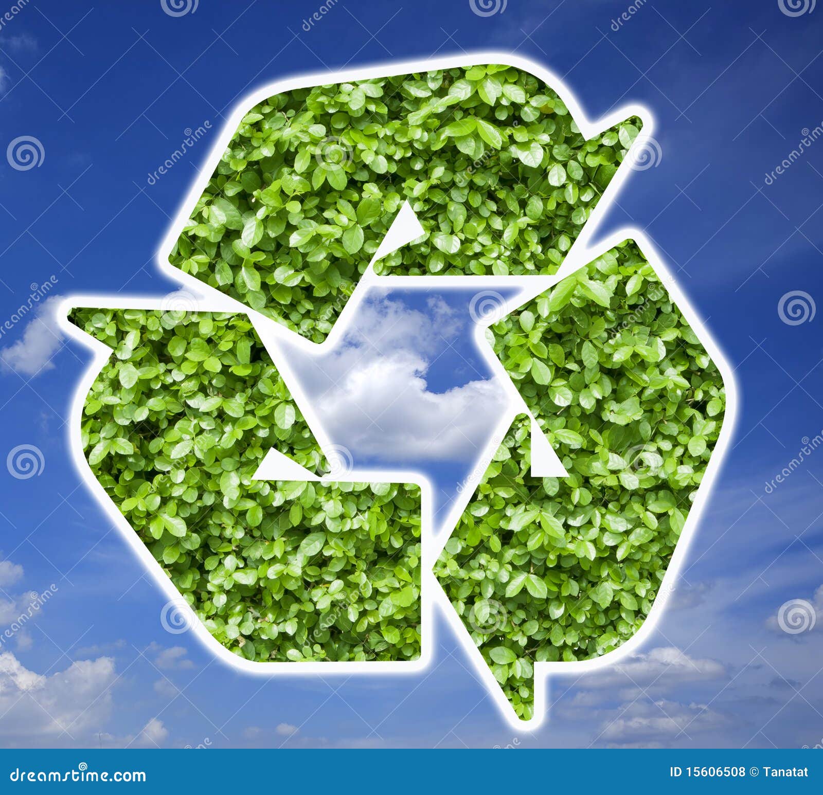 Plant recycle symbol stock photo. Image of curve, garbage - 15606508