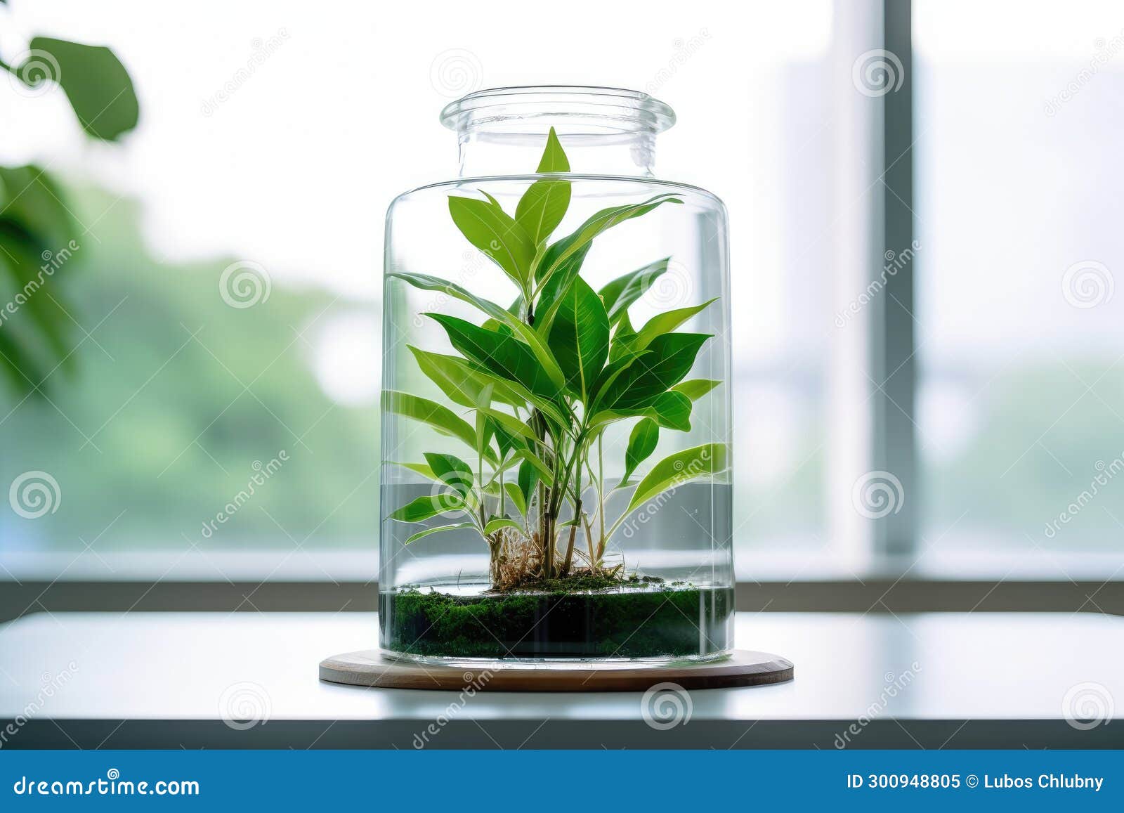Plant Research, Green Plant in a Glass Jar in a Laboratory. Ecological ...