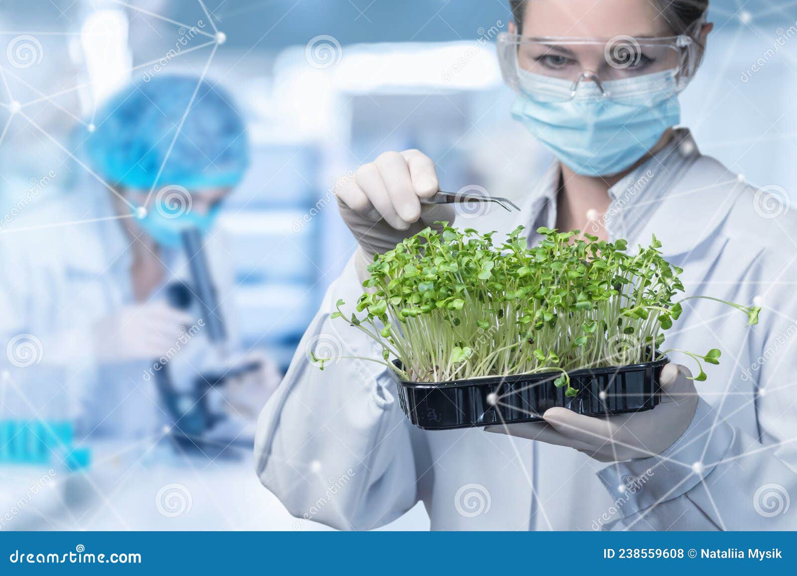 Plant Research Modern Biotechnology Concept Stock Photo - Image of ...