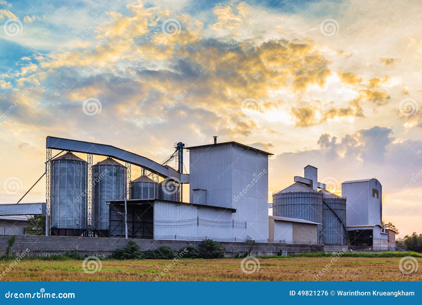 Plant Rice mill stock photo. Image of business, energy - 49821276