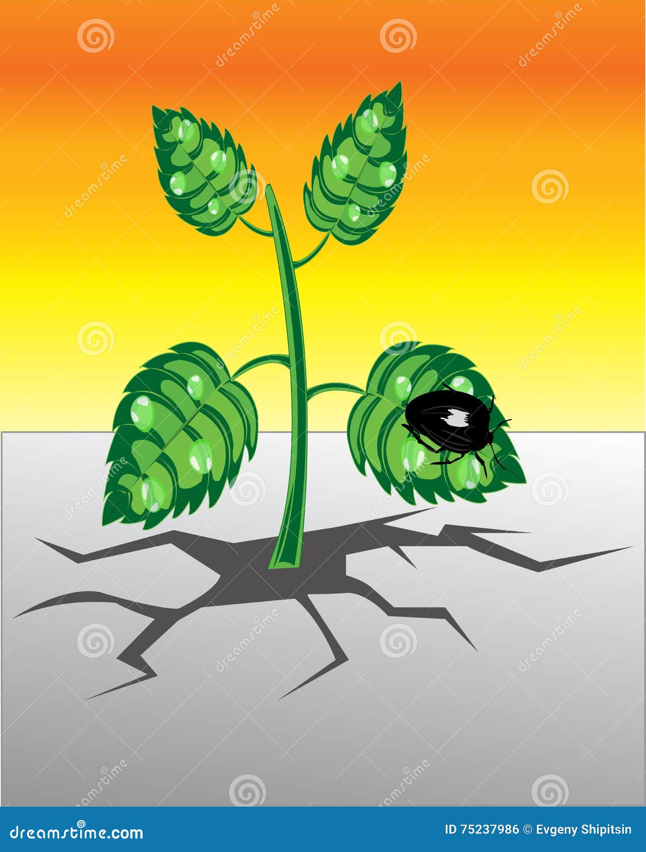 Plant from rift stock vector. Illustration of seedling - 75237986