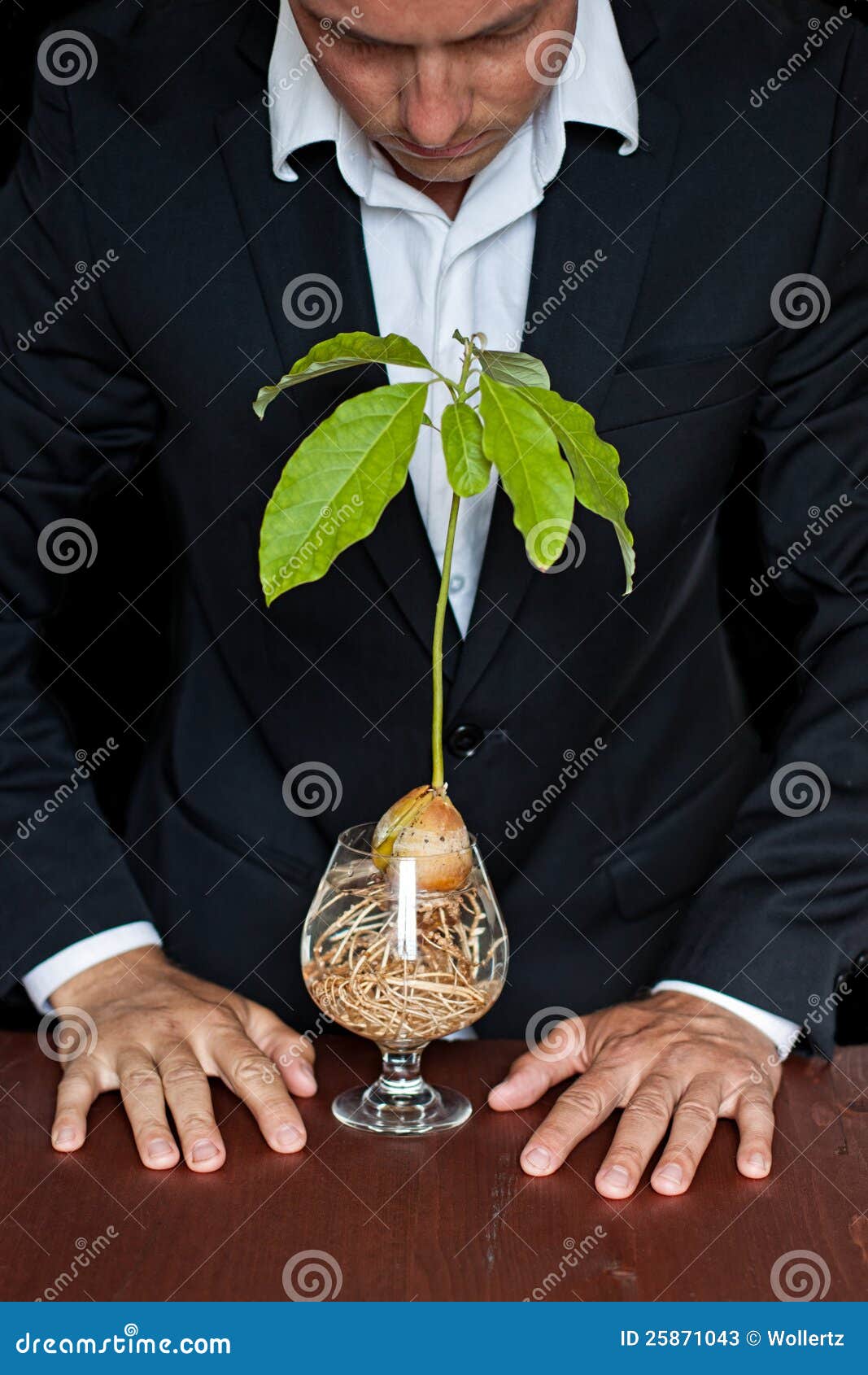 Plant rights stock image. Image of garden, black, caring - 25871043