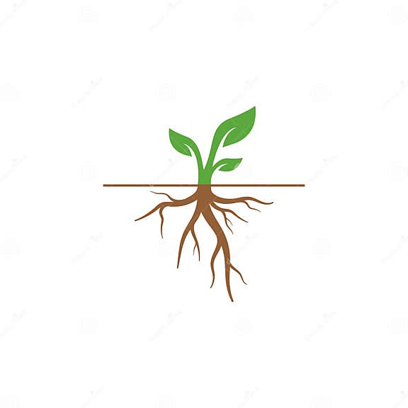 Plant with Root Logo Vector Icon Illustration Stock Vector ...