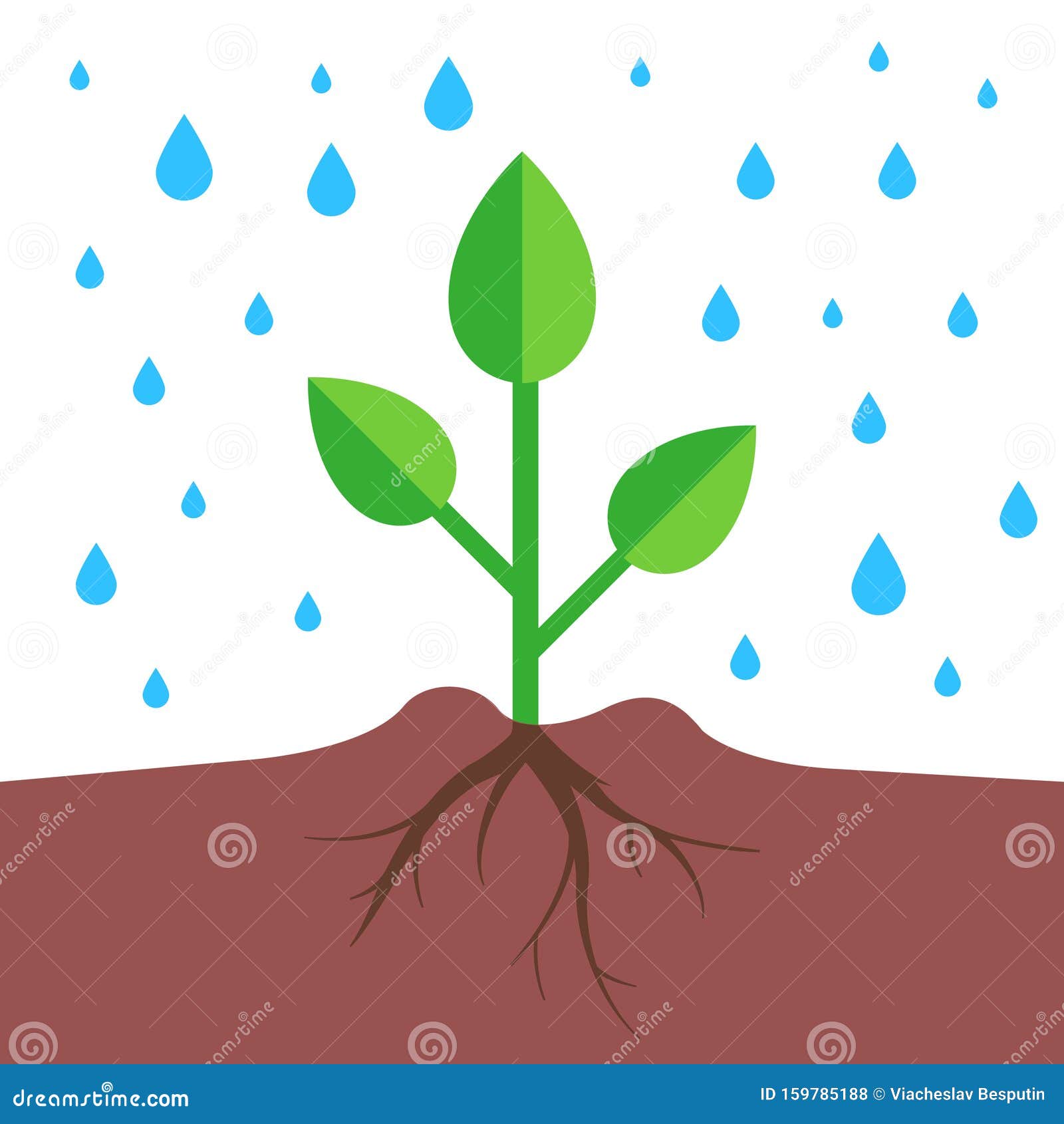 A Plant with a Root System Pours Rain Stock Vector - Illustration of ...