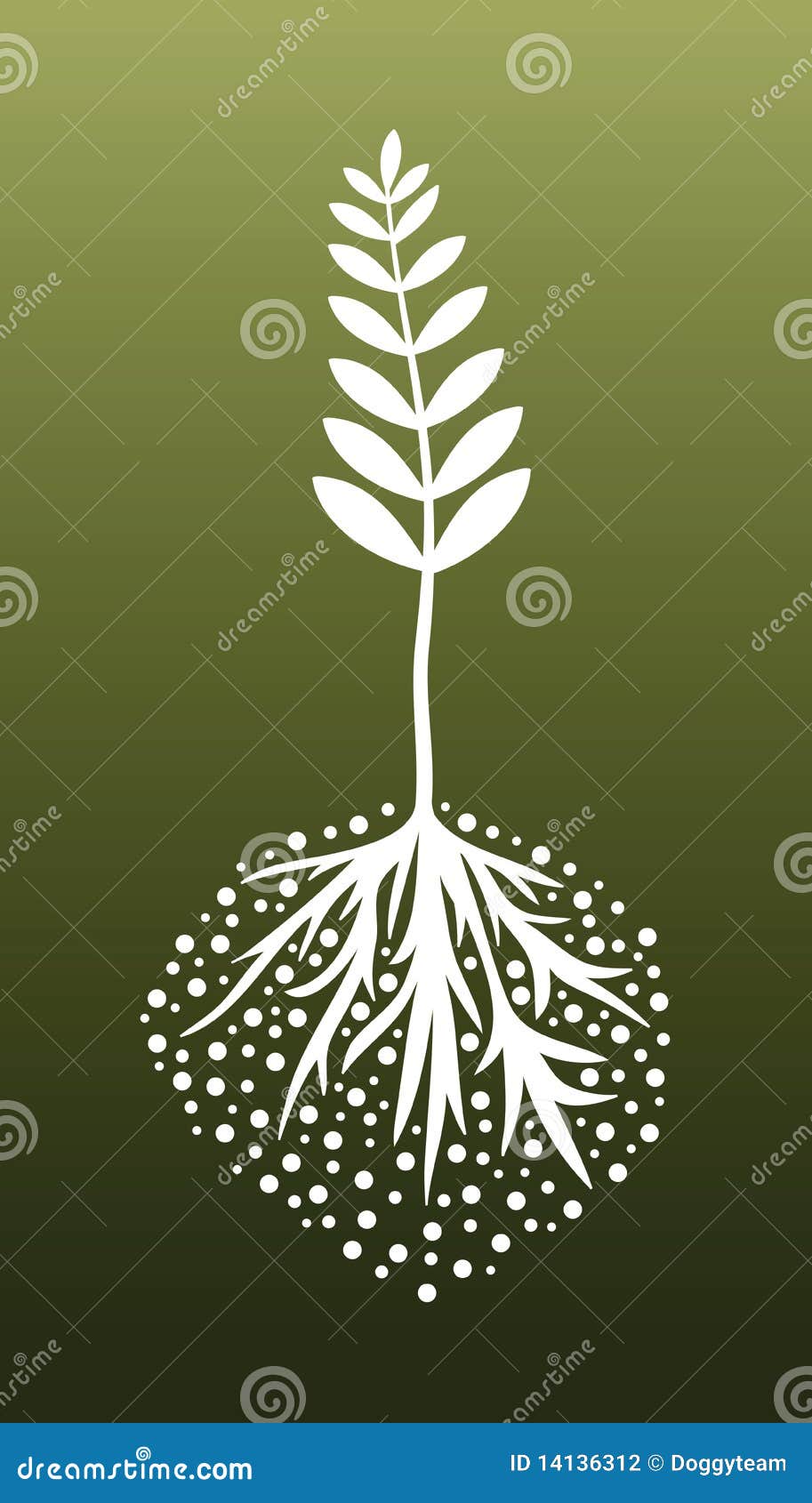 Plant and Roots stock vector. Illustration of agriculture - 14136312