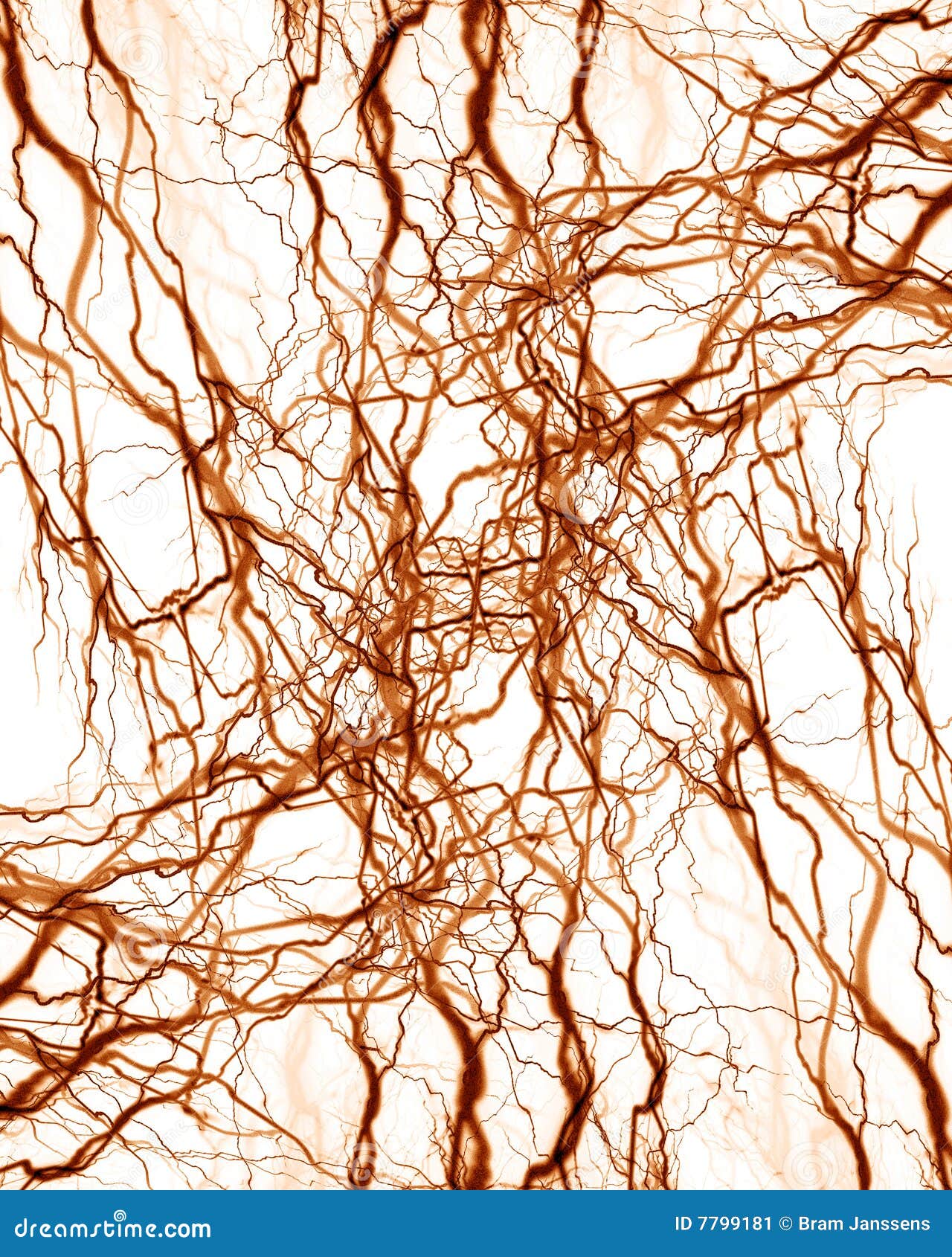 Plant And Roots Background Cartoon Vector | CartoonDealer.com #14136295