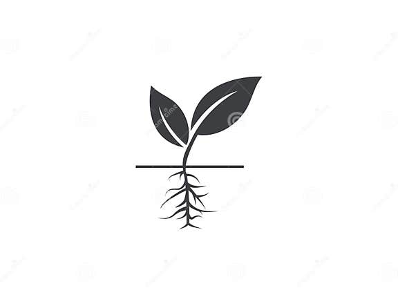 Plant, Roots Icon. Vector Illustration. Stock Vector - Illustration of ...