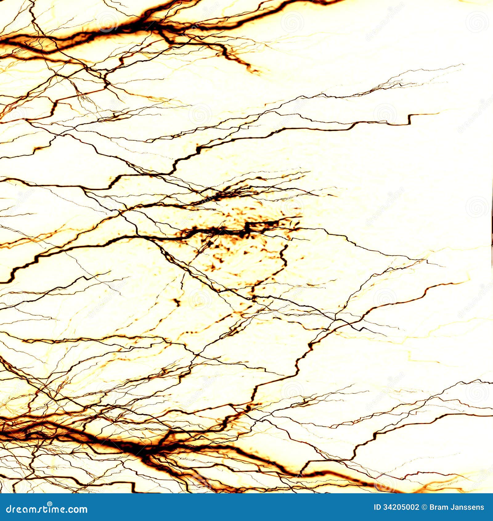 Soft Roots Stock Illustrations – 135 Soft Roots Stock Illustrations ...