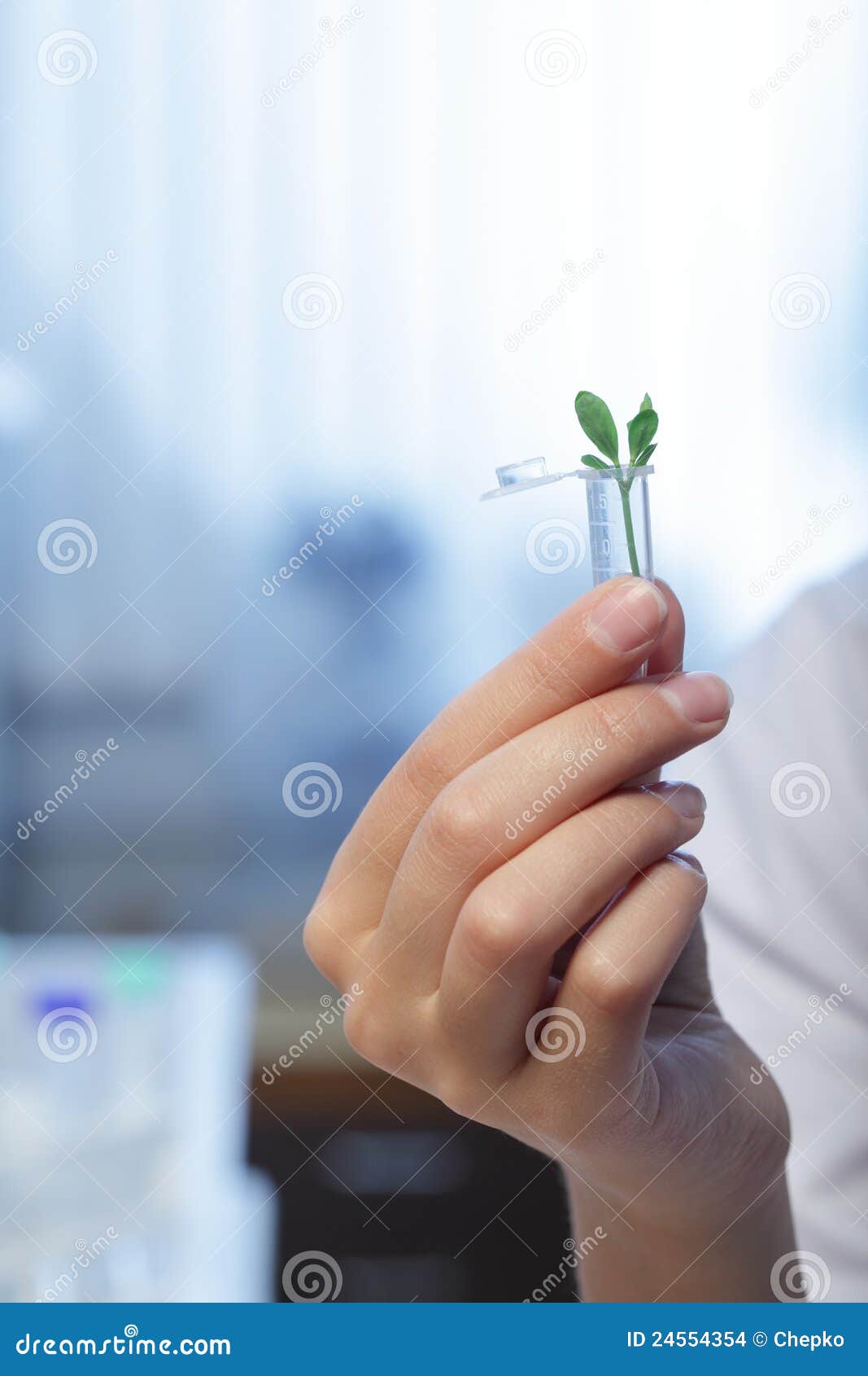 Plant sample stock photo. Image of liquid, leaf, agriculture - 24554354