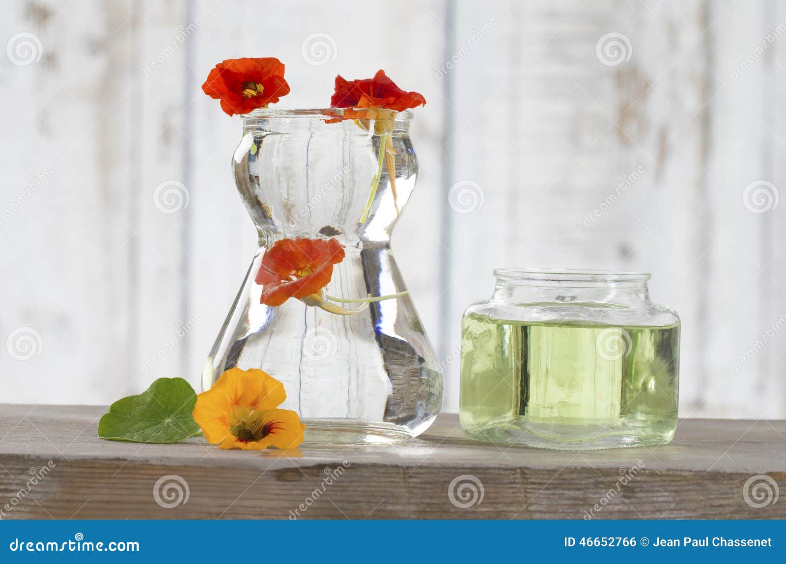 Plant Samples for Analysis in Scientific or Cosmetic Laboratory Stock ...