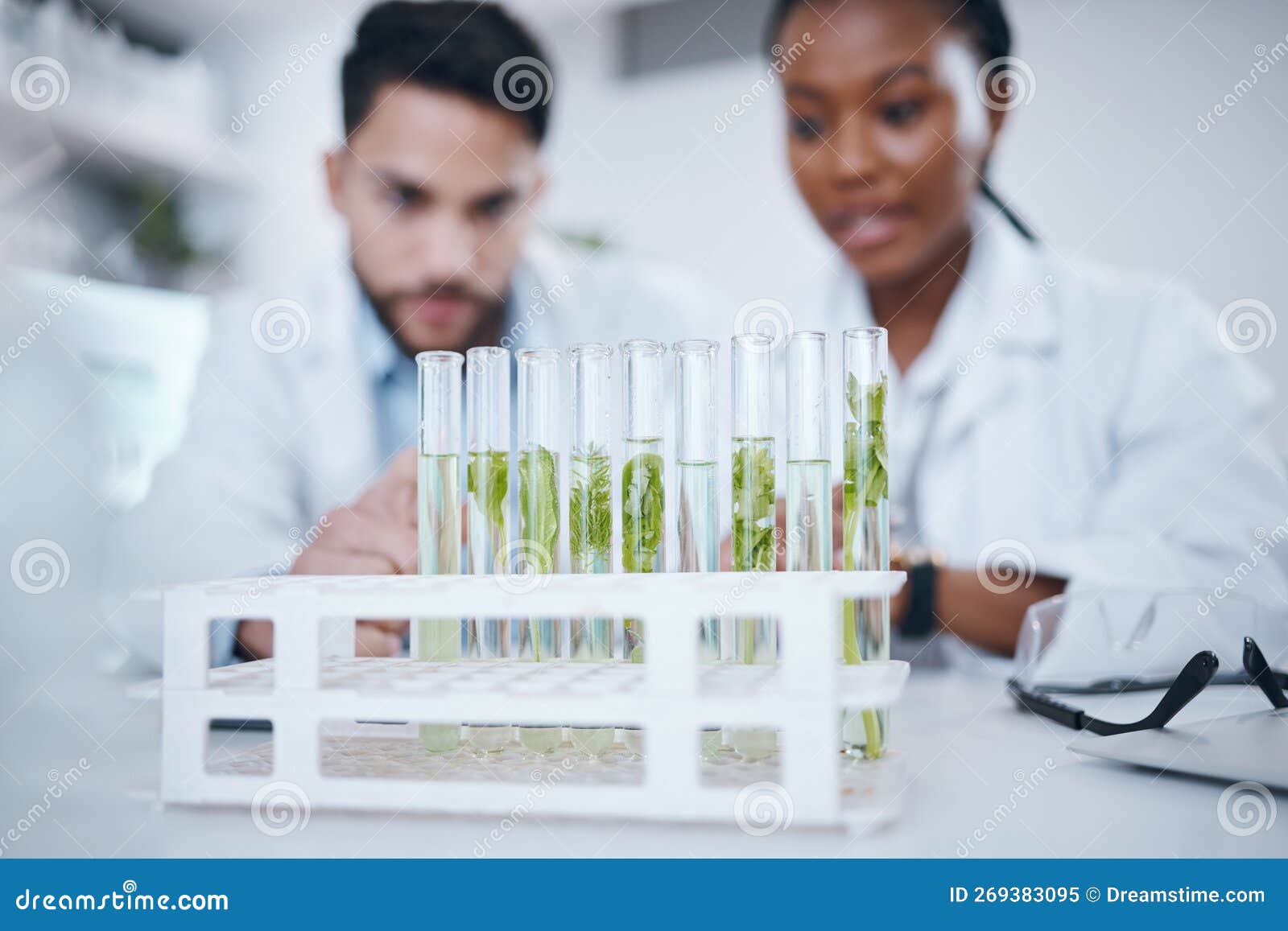 Plant Samples, Science Test Tubes and Lab Workers in a Agriculture ...