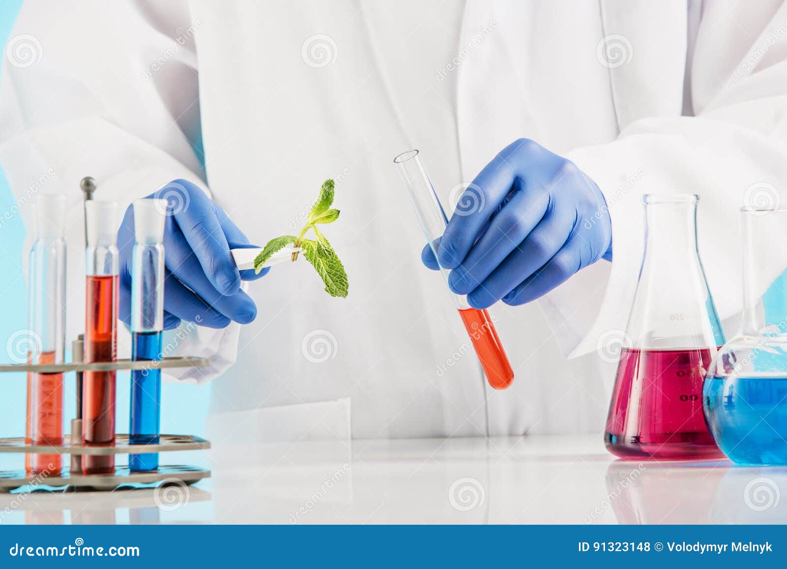Plant sciences in lab stock photo. Image of drop, chemical - 91323148