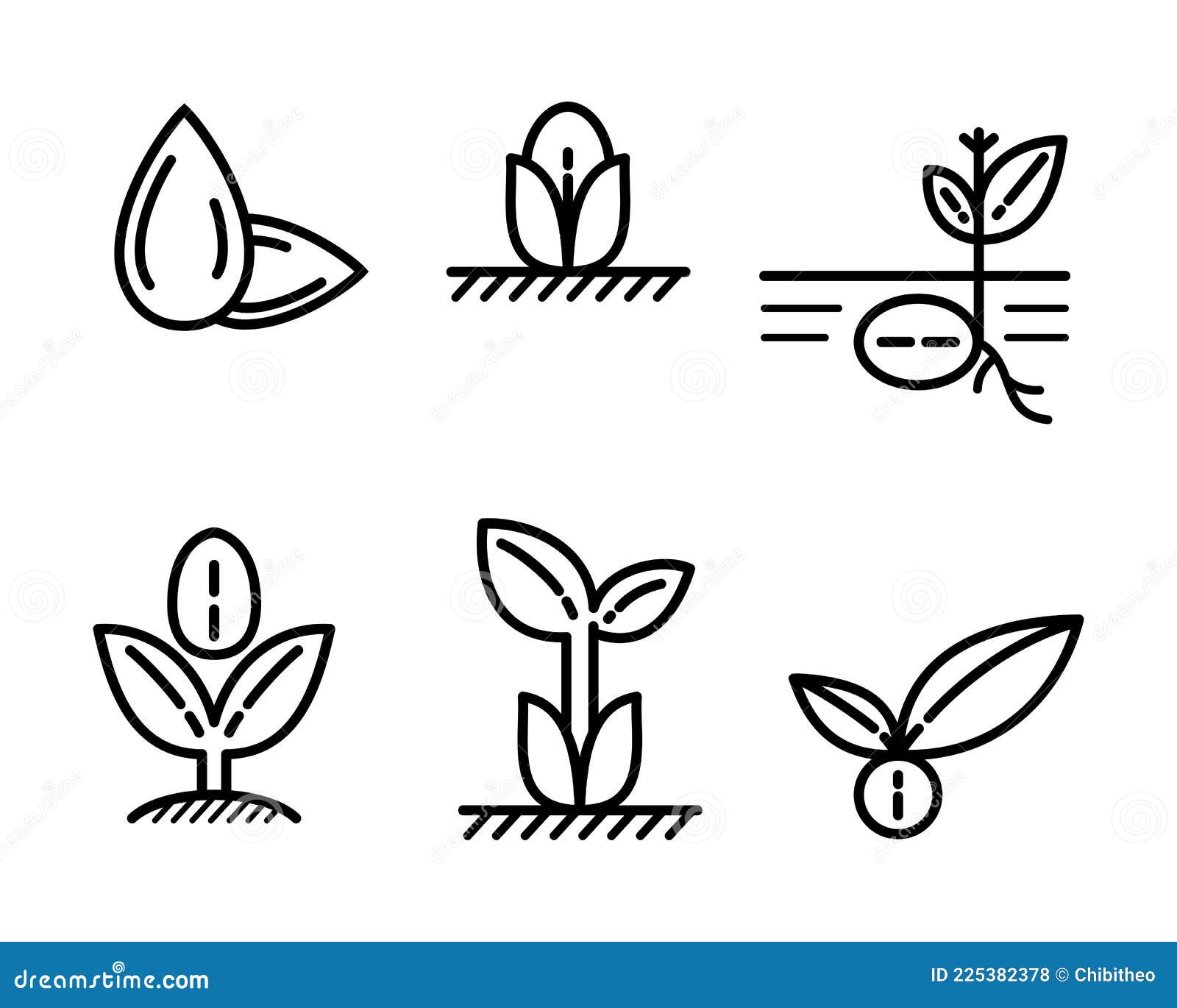 Plant the Seed Icon Set. Plant a New Tree with the Seed Vector Stock ...