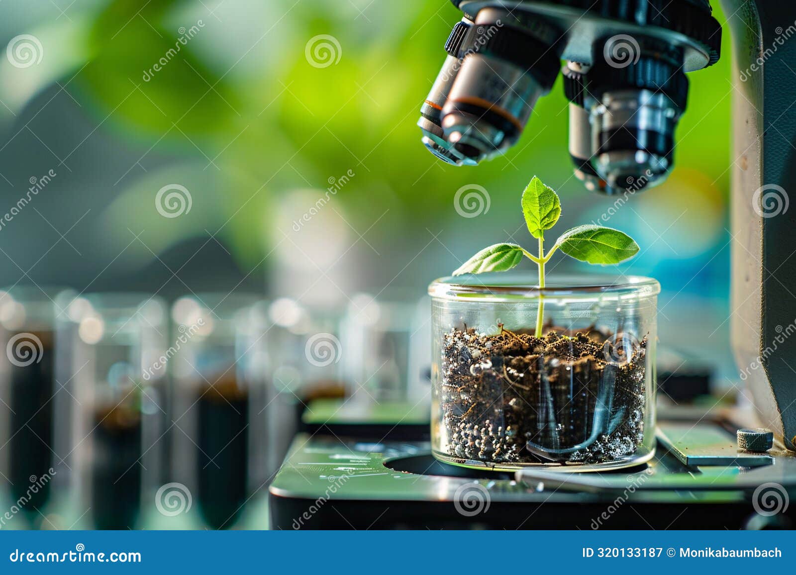 Plant Seedling in Research Lab with Microscope. Concept for ...