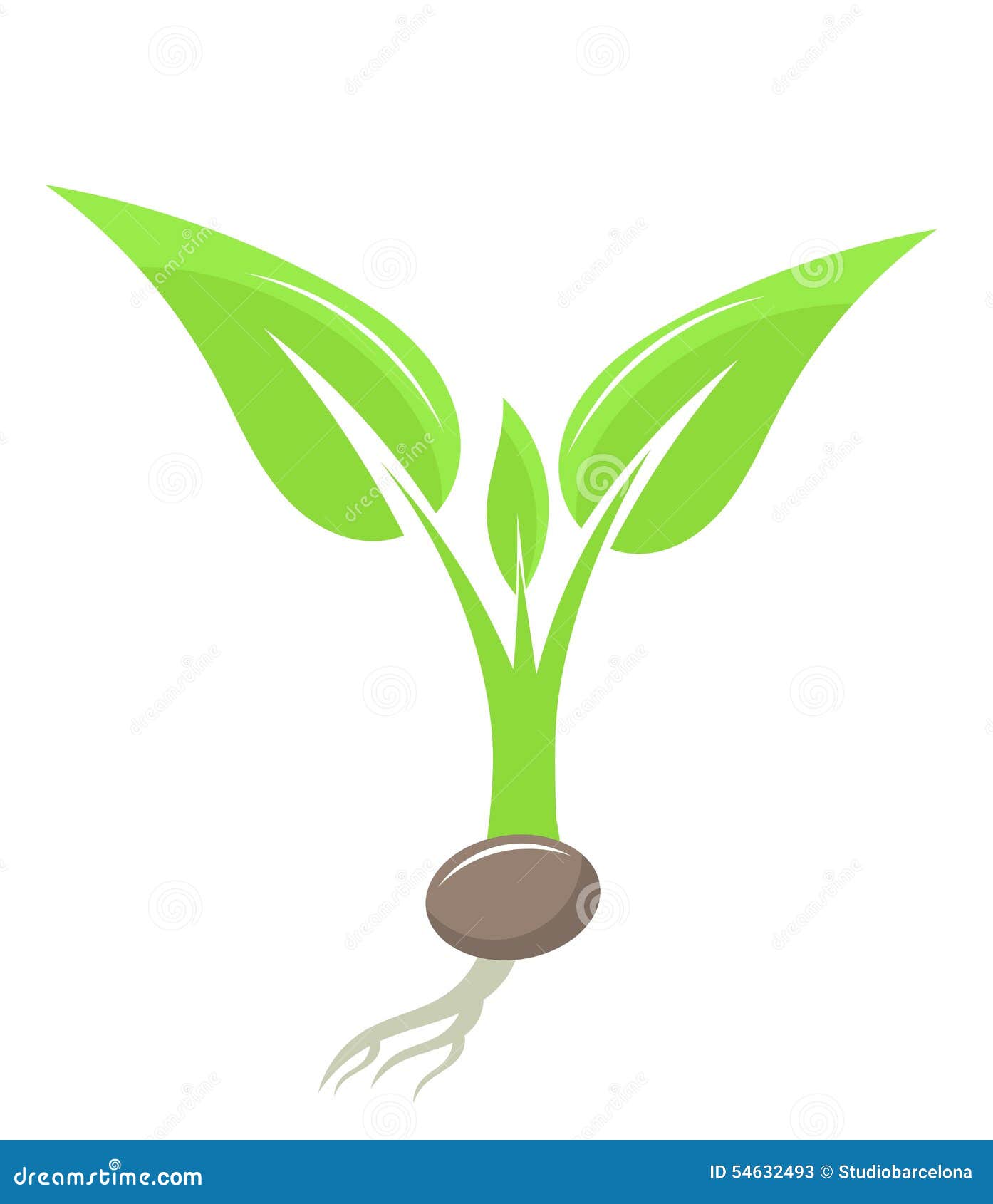 Plant seedling stock vector. Illustration of grow, nature - 54632493