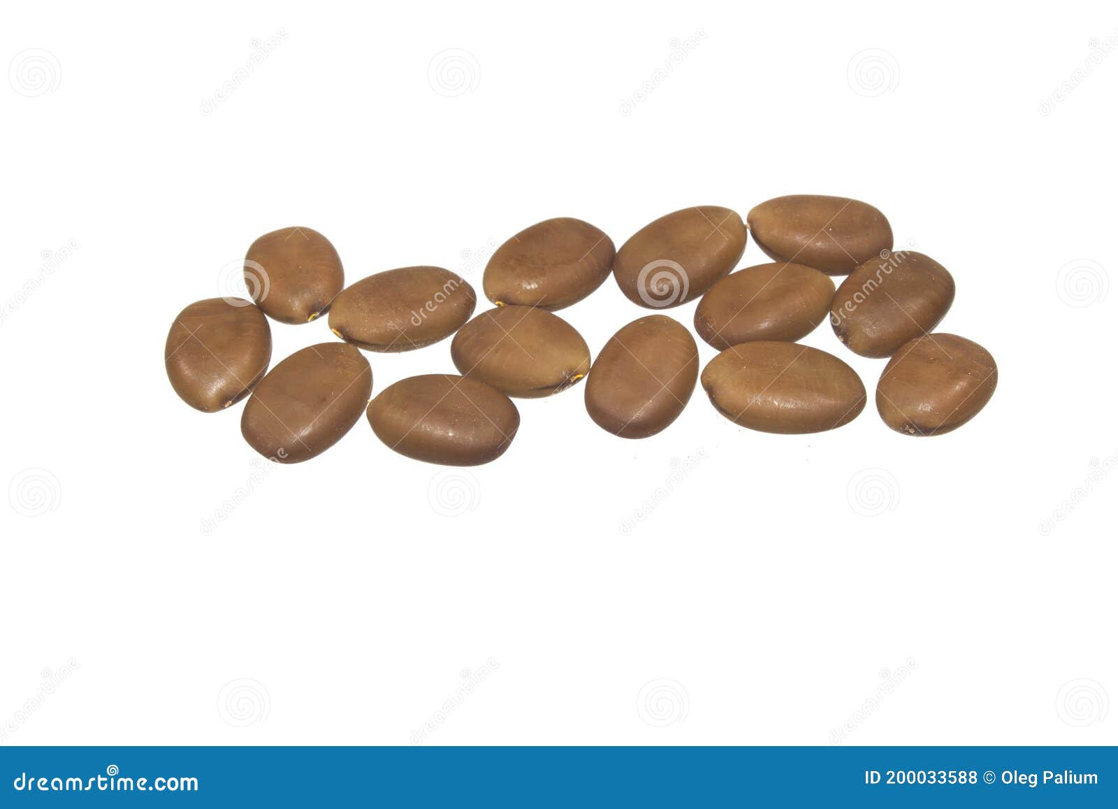 Plant Seeds Isolated on White Background Stock Photo - Image of gold ...