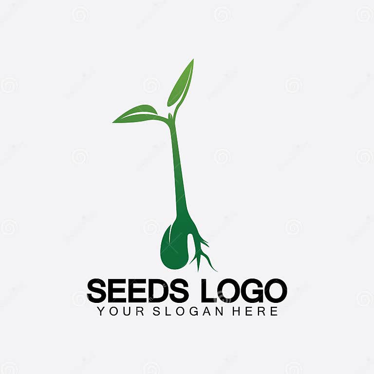 Plant Seeds Logo Concept Template Vector Growing Seed Logo Stock Vector
