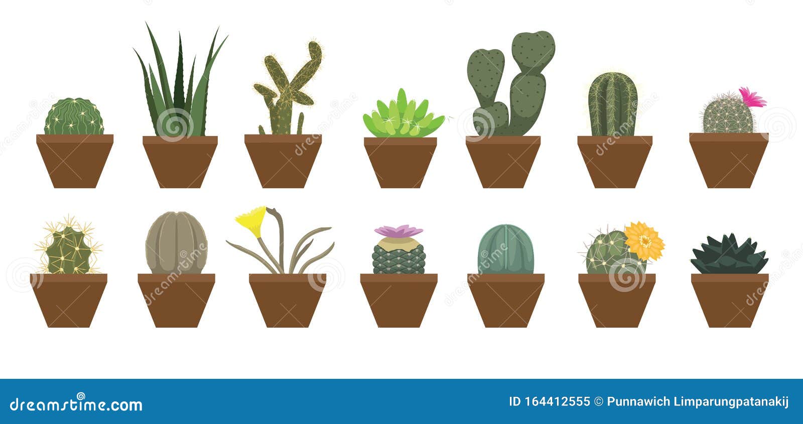 Cactus Side View Succulent and Cacti Set Vector Illustration Set Stock ...