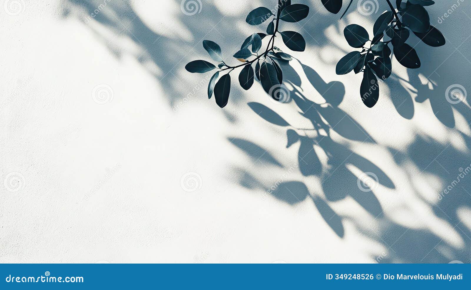 Plant Shadow on White Wall stock illustration. Illustration of white ...