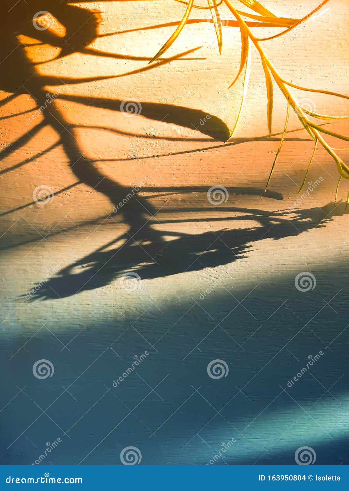 Plant Shadows on Light Wall Stock Photo - Image of space, tree: 163950804