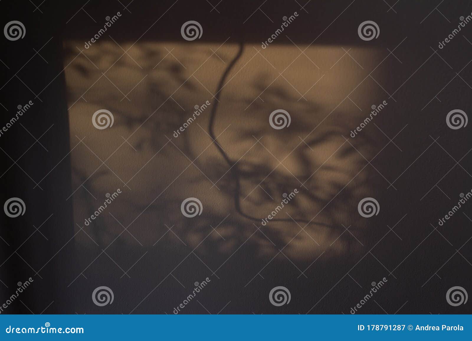 Plant shadows on wall stock image. Image of backdrop - 178791287