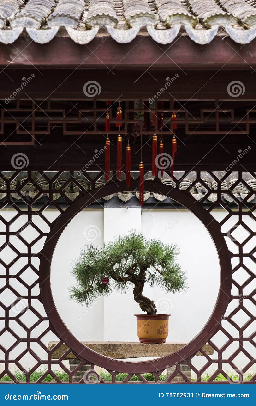 The plant stock image. Image of nature, flowers, shanghai - 78782931