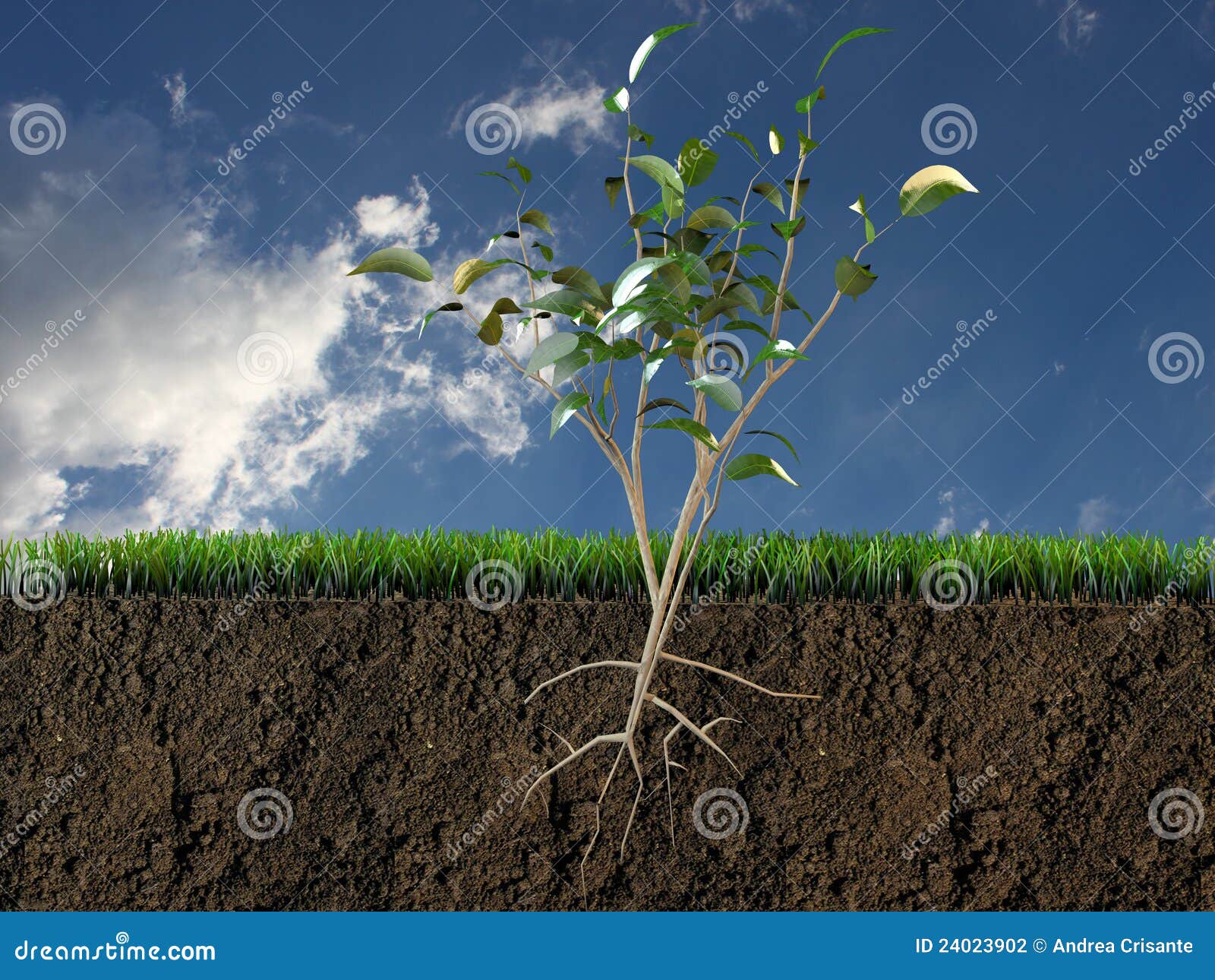 Plant in soil section stock illustration. Illustration of blue - 24023902