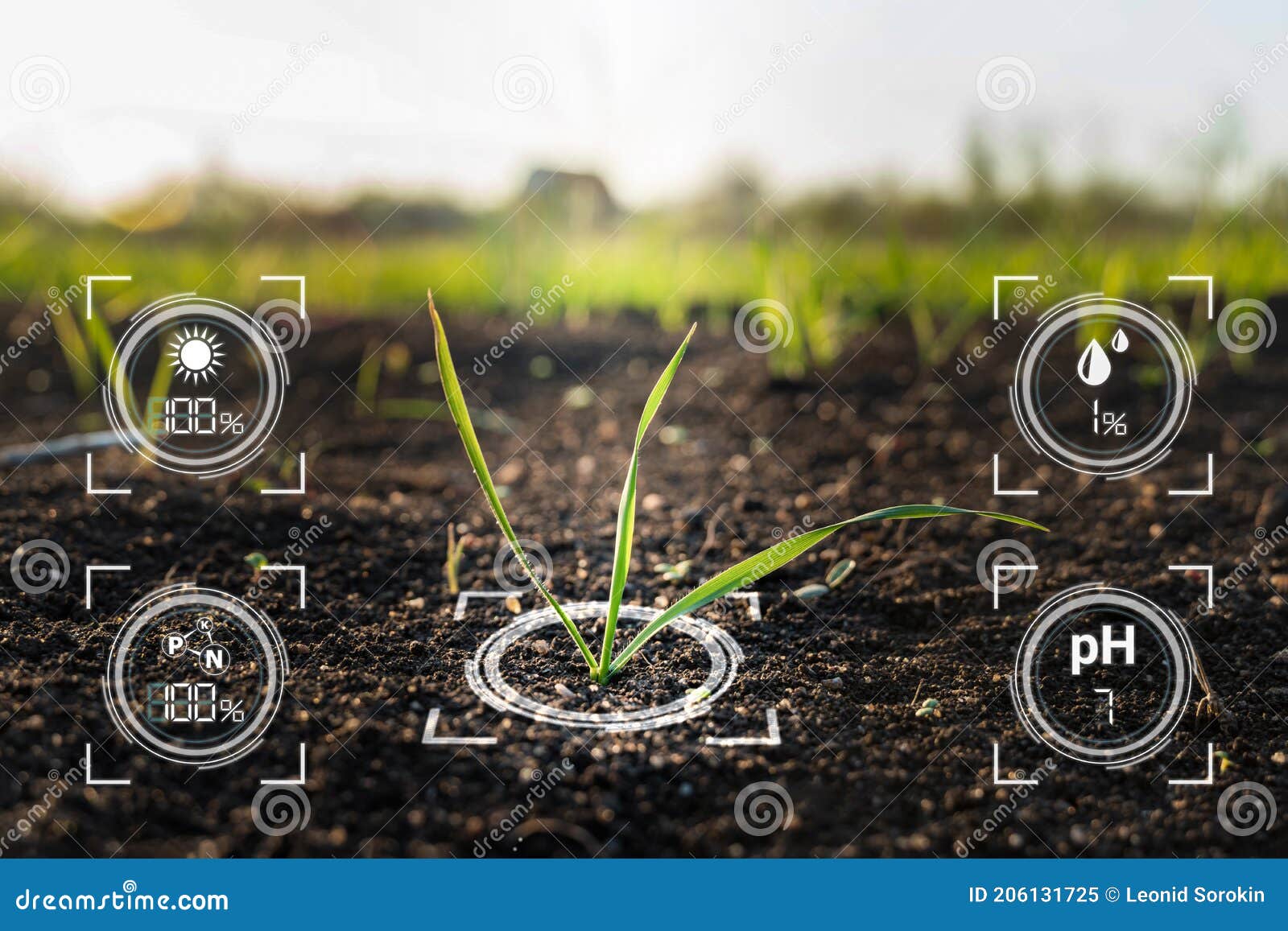 Plant Sprout with AI Technology for Detection and Control System Stock ...