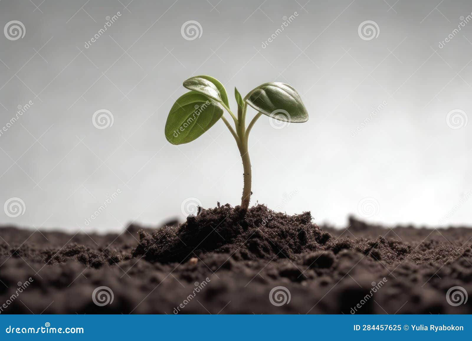 Sprout In Ground Illustration Set, Sapling Seedling, Green Plant Grows ...