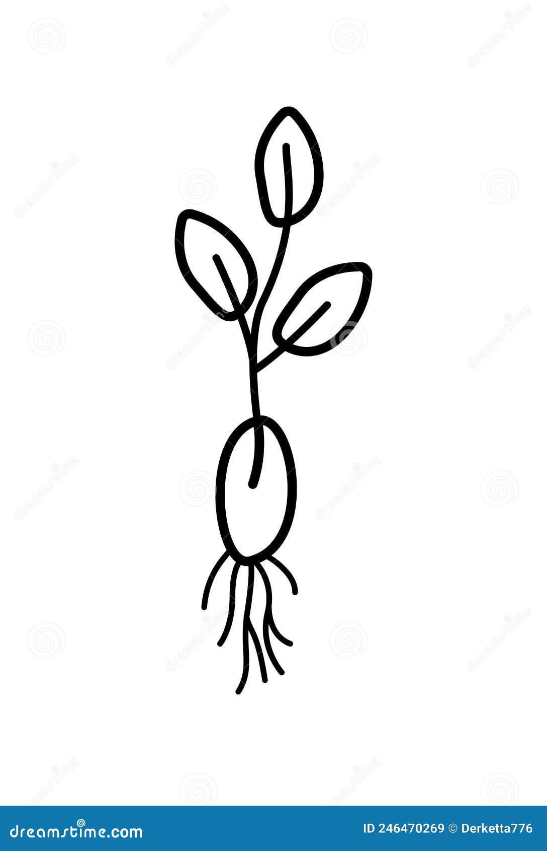 A Plant Sprouted from a Seed with a Root System, Vector Illustration ...