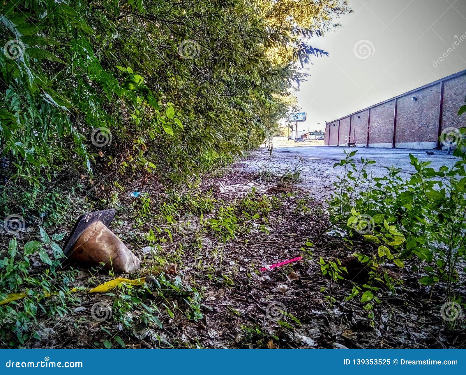 Plant stuff stock image. Image of building, stuff, plant - 139353525