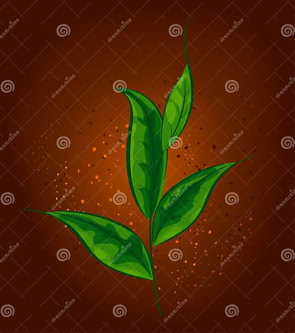 Plant tea stock vector. Illustration of idea, vector, green - 4644656