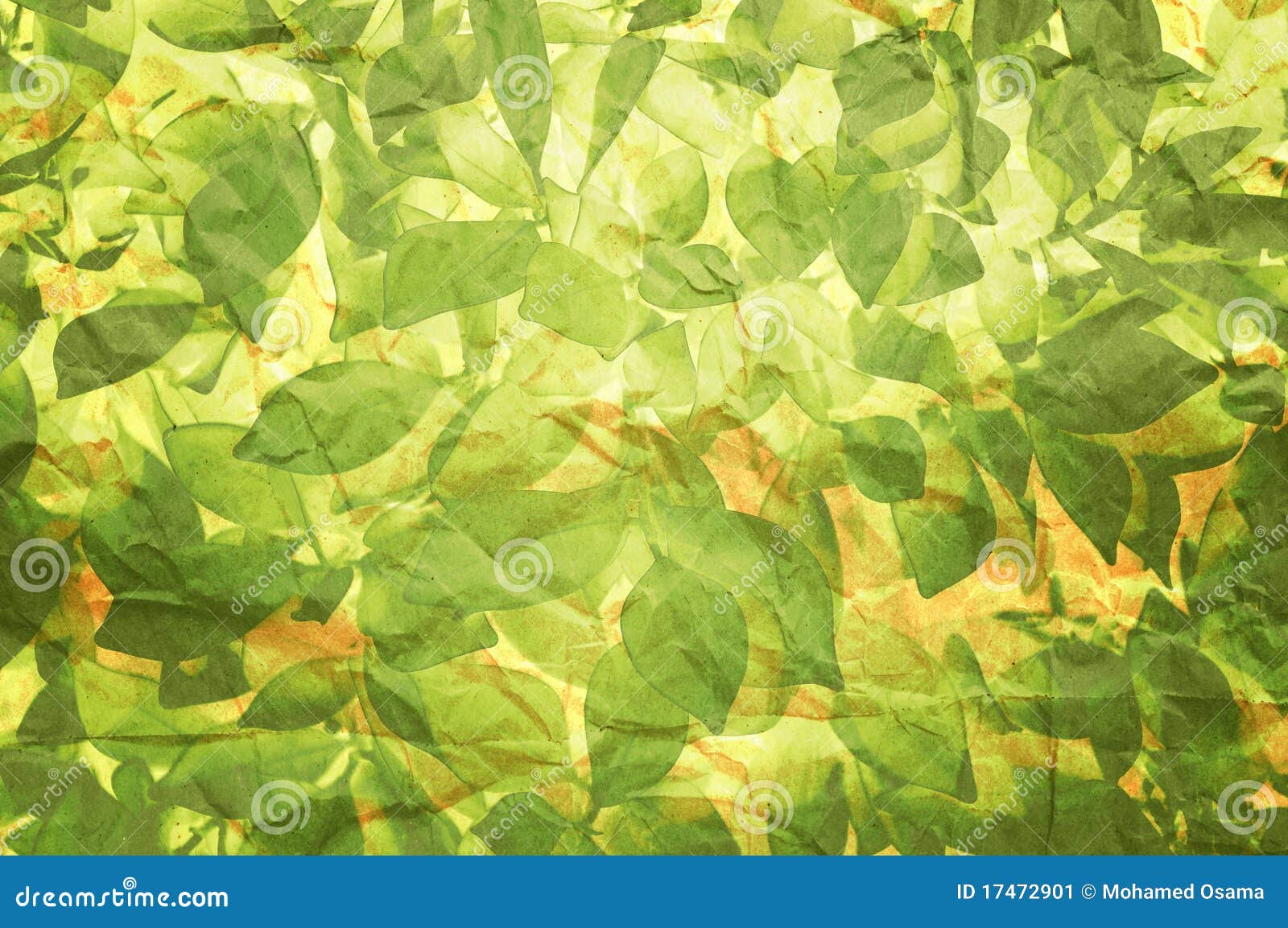 Top Plant Texture Royalty-Free Stock Image | CartoonDealer.com #58598842
