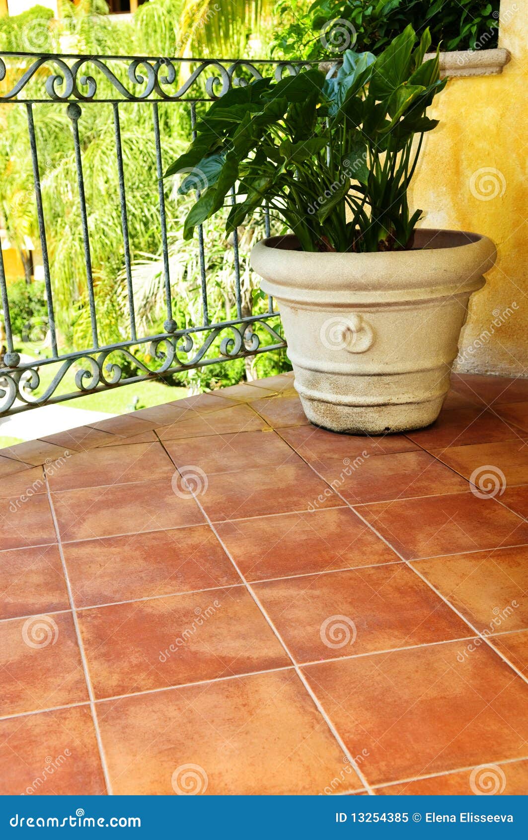 Plant on Tiled Mexican Veranda Stock Image - Image of potted, outdoors ...