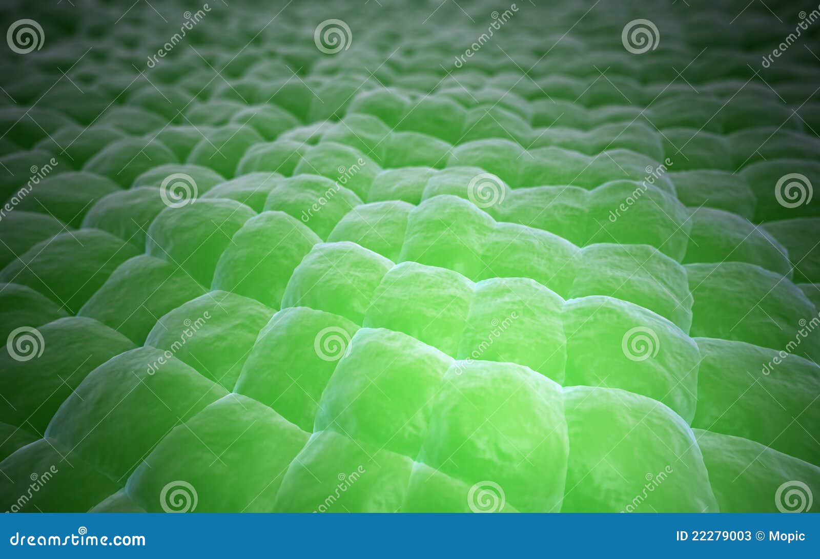 Plant Tissue Culture Collection Shelves In Tissue Culture Room Science ...