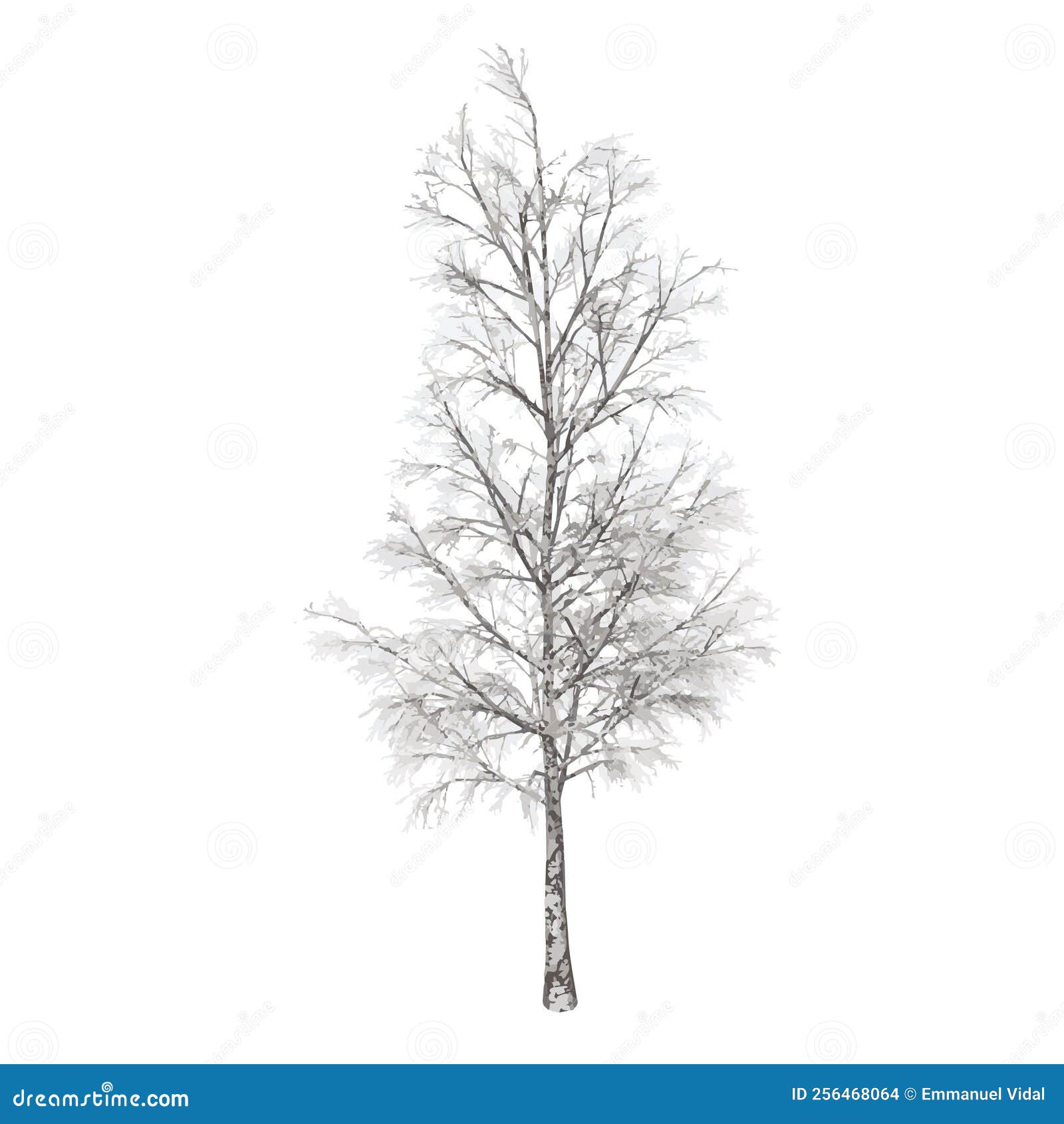 Front View of Plant Snowy Tree Winter 13 Tree Png Illustration Vector ...