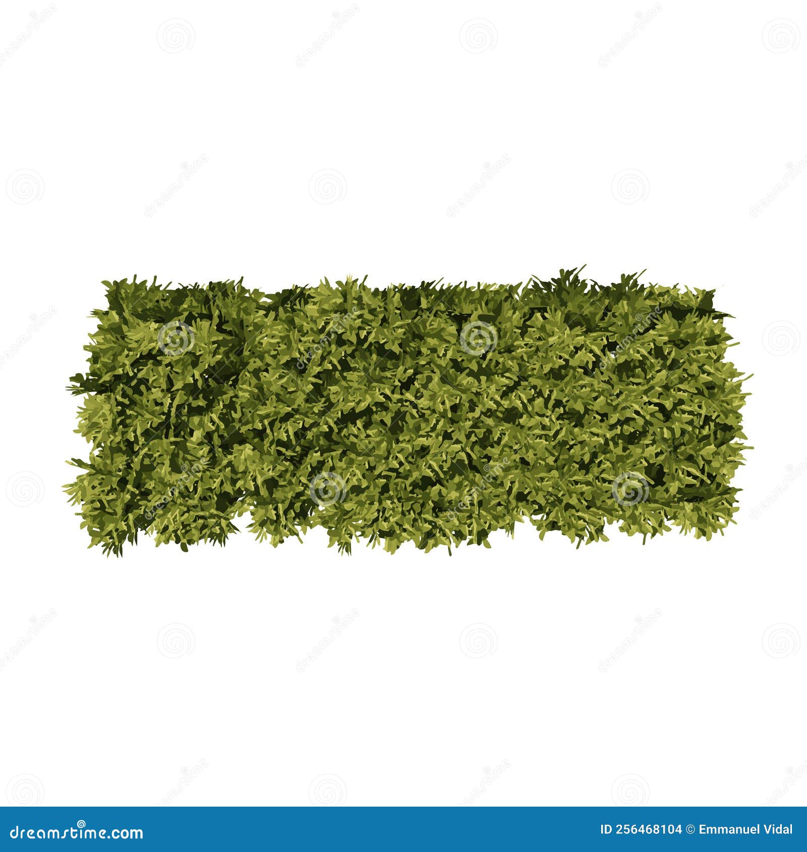 Front View of Plant Rectangular Bush 1 Tree Illustration Vector Stock ...