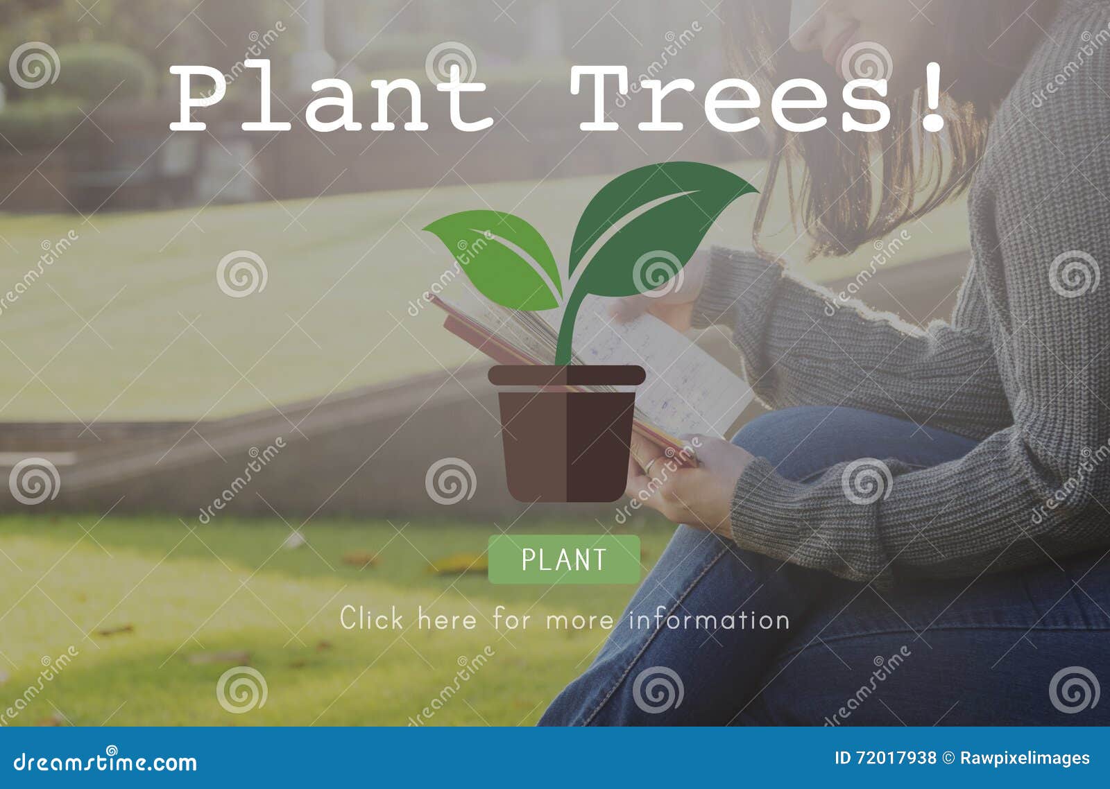 Plant Trees Ecology Environmental Conservation Growing Concept Stock ...