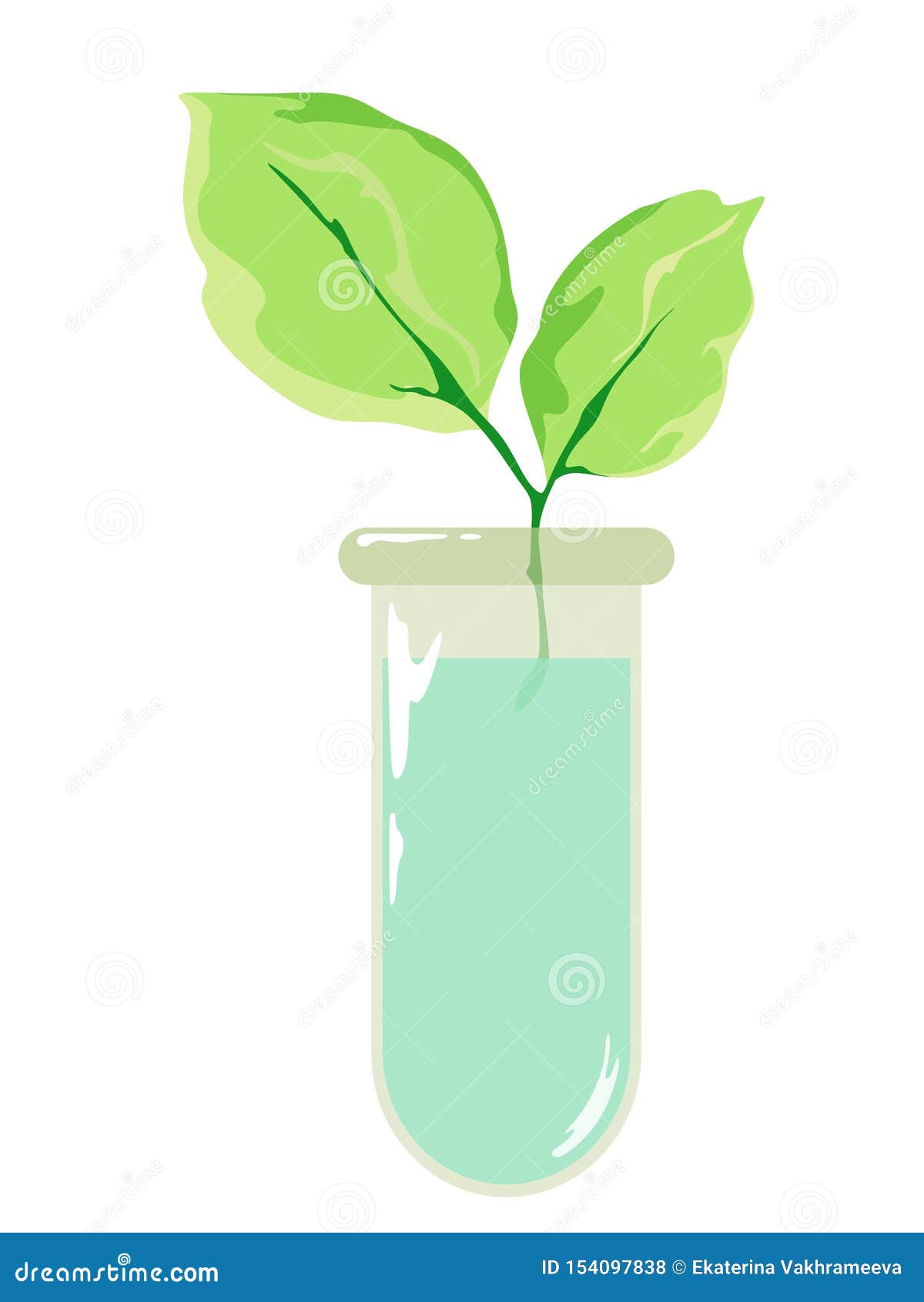 Plant In Vitro Cartoon Vector | CartoonDealer.com #83384765