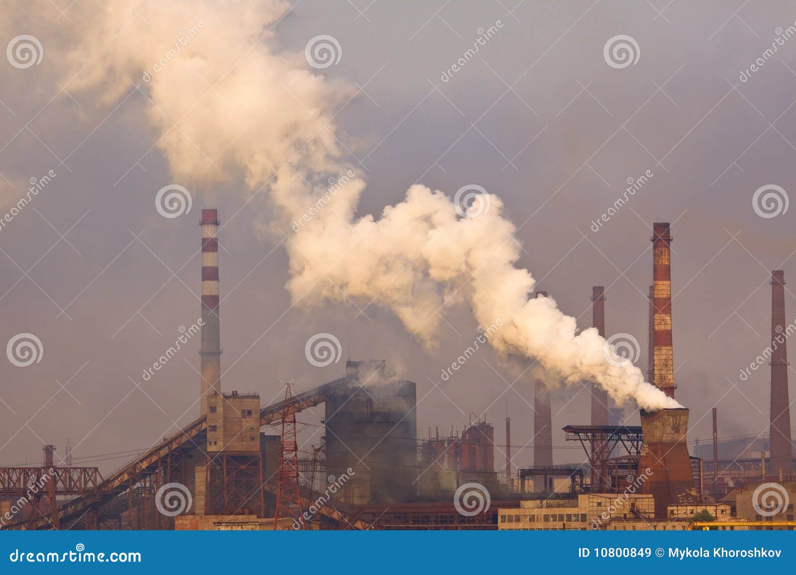 Plant with white smog stock image. Image of color, large - 10800849